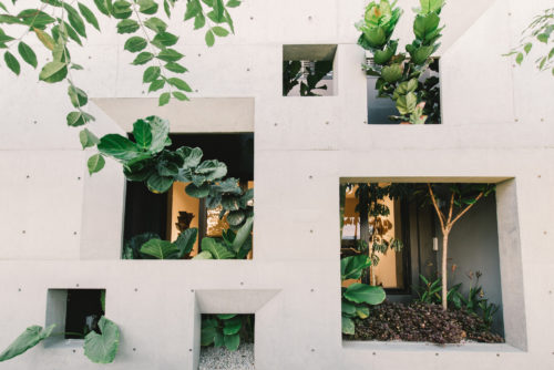 The Window House by Formzero Architects creates a new design dimension ...