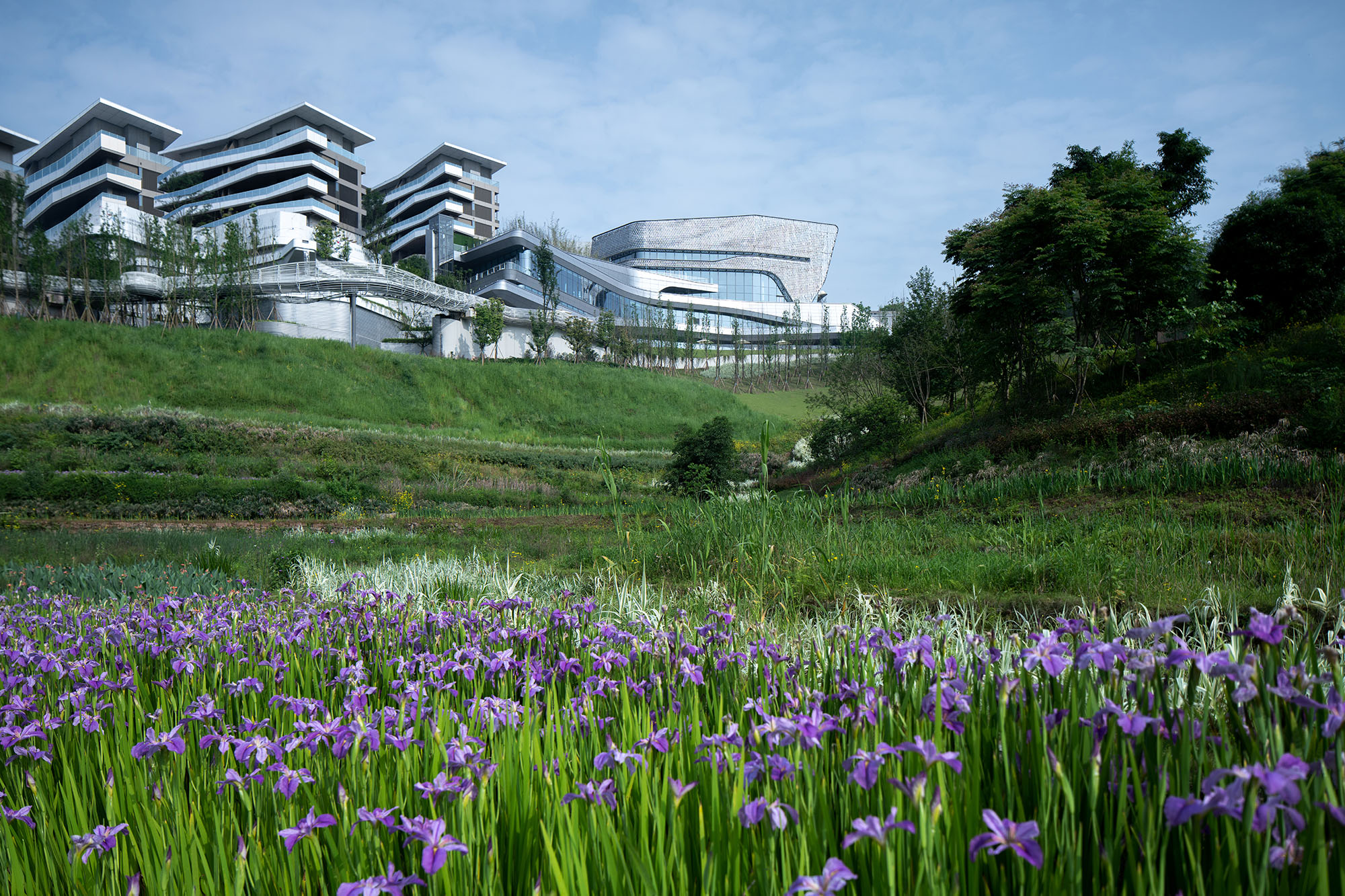 In China's Chongqing city, a sculptural clubhouse by 10 Design becomes ...